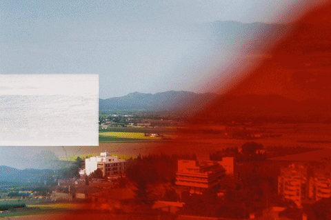 Art Summer GIF by Blanca Viñas - Find & Share on GIPHY