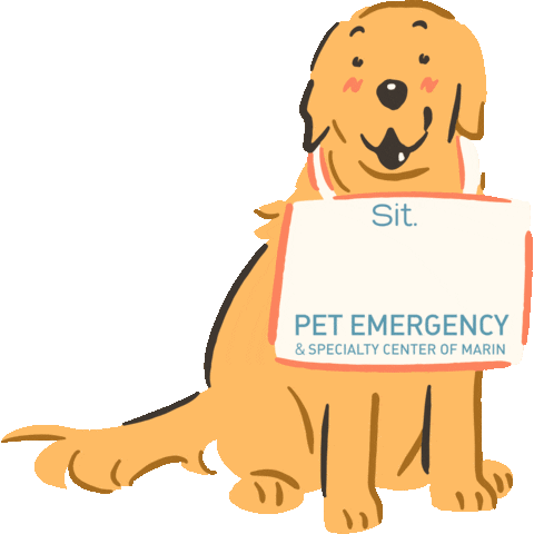 Pet Emergency and Specialty Center of Marin GIFs on GIPHY - Be Animated