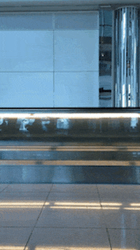 School Cleaning Services GIFs - Find & Share on GIPHY