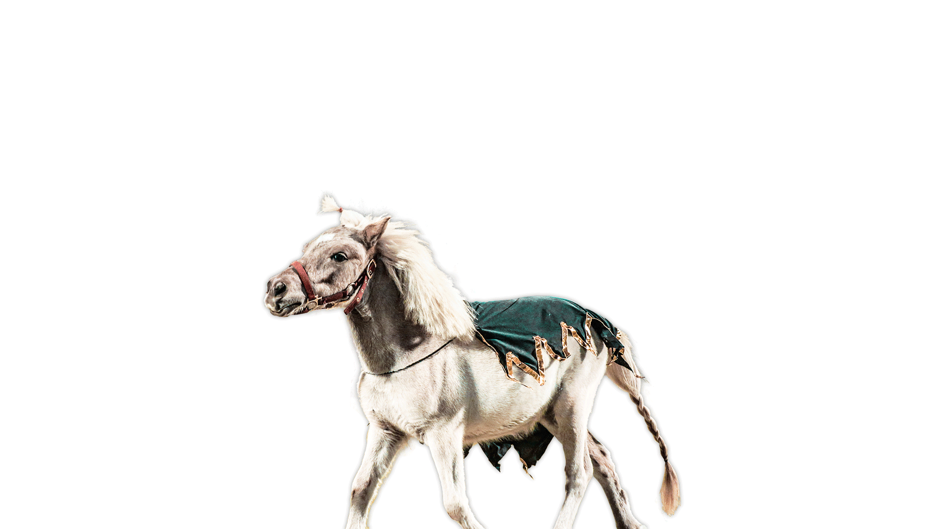 Charge On Knugget Sticker by UCF Knights for iOS & Android | GIPHY
