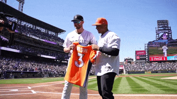 Colorado Rockies GIFs on GIPHY - Be Animated