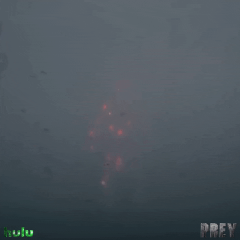PREY - Now Streaming on Hulu GIFs on GIPHY - Be Animated