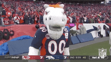 GIFs From A Saturday Football Double Header! by Sports GIFs | GIPHY