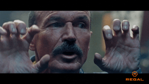 Cat Scratching GIFs - Get the best GIF on GIPHY