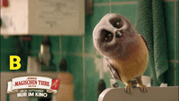 Die Schule der magischen Tiere - Der Film GIFs on GIPHY - Be Animated