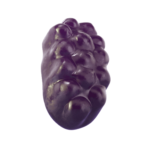 Welch's Fruit Snacks GIFs on GIPHY - Be Animated