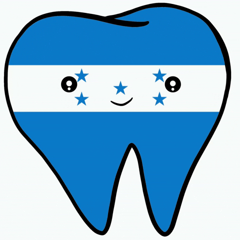 Honduras-bandera GIFs - Get the best GIF on GIPHY