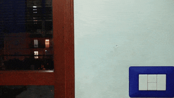 Shutters GIFs - Find & Share on GIPHY