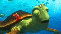 Finding Nemo Jacques Gif