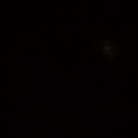 sillynub GIFs on GIPHY - Be Animated