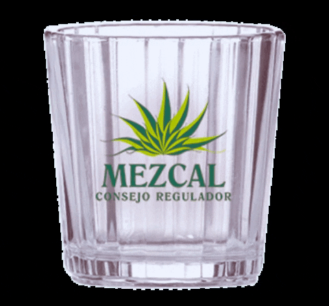 Mezcales GIFs - Get the best GIF on GIPHY