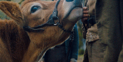 First Cow GIF by A24 - Find & Share on GIPHY