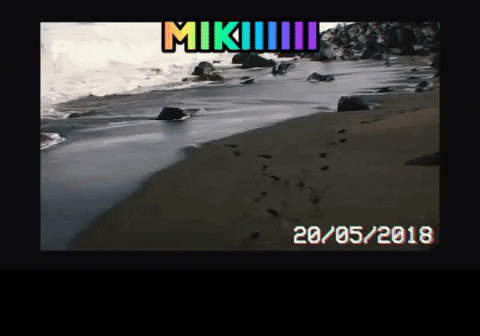 Nuez GIFs - Get the best GIF on GIPHY