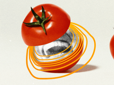 Animated Tomato Gif