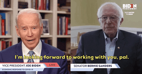 Bernie Sanders (D) GIFs on GIPHY - Be Animated