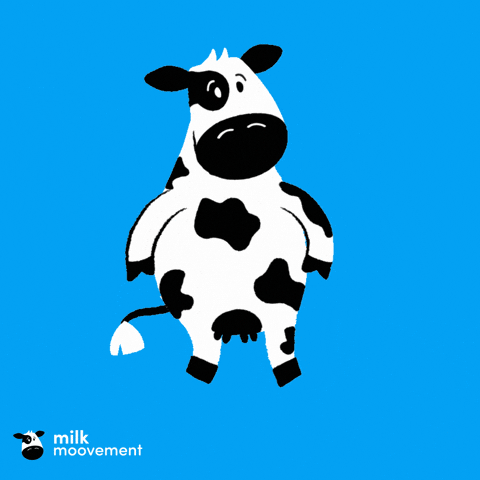 Dairy Cow GIFs - Find & Share on GIPHY