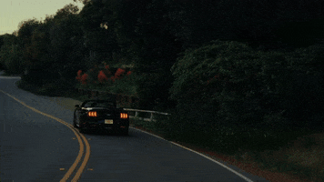 AR Paisley GIFs on GIPHY - Be Animated