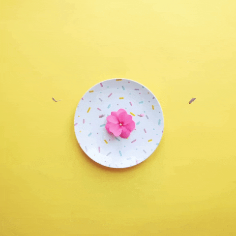 Plate GIFs - Find & Share on GIPHY