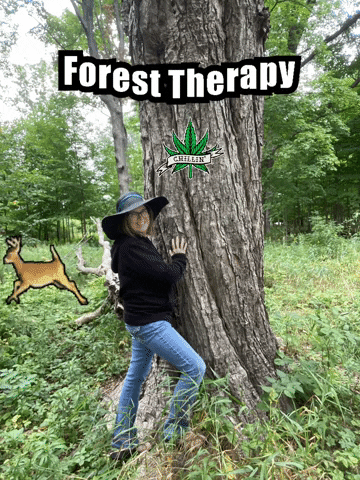Forest Bathing GIFs - Get the best GIF on GIPHY