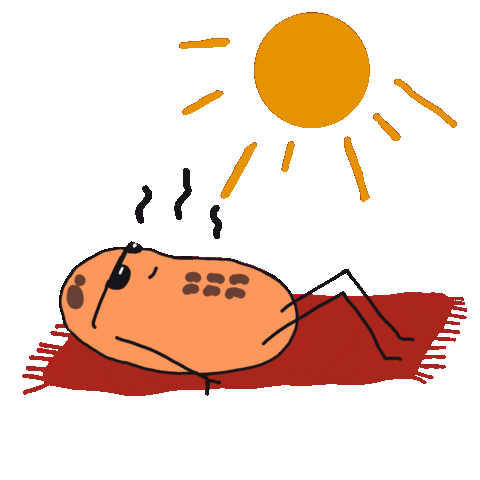 Summer Sun Sticker for iOS & Android | GIPHY