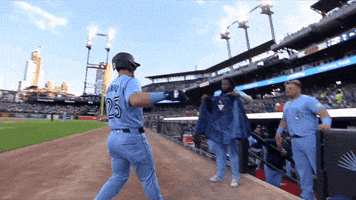 Toronto Blue Jays GIFs on GIPHY - Be Animated