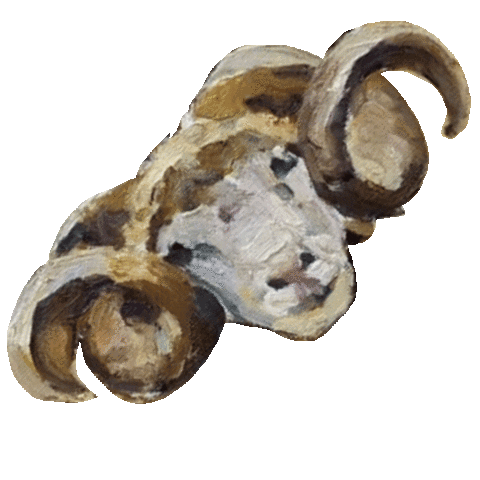 Animal Art GIFs on GIPHY - Be Animated