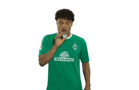 Happy Birthday Football Sticker by SV Werder Bremen for iOS & Android ...