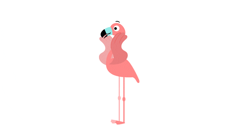 Flamingos Dancing GIFs - Get the best GIF on GIPHY