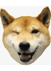 Doge Spin Gif
