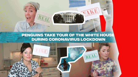 Real Fake GIFs - Get the best GIF on GIPHY