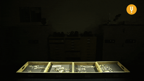 Computer Generated Imagery GIFs - Get the best GIF on GIPHY