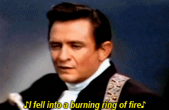 Burn-cash GIFs - Get the best GIF on GIPHY