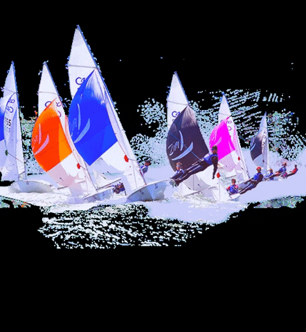 Zim Sailing GIF - Find & Share on GIPHY