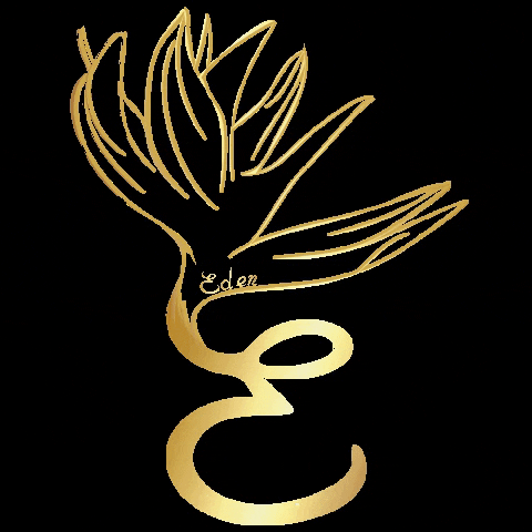 View Post GIFs - Get the best GIF on GIPHY