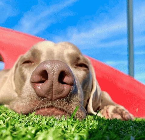Summerdays GIFs - Get the best GIF on GIPHY