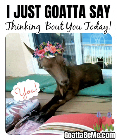 Miss You Cute Animals GIF by Goatta Be Me Goats! Adventures of Pumpkin ...