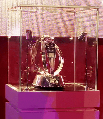 SUPER BOWL LVIII PREGAME THREAD - SF 49ERS vs KC CHIEFS | Page 384 ...