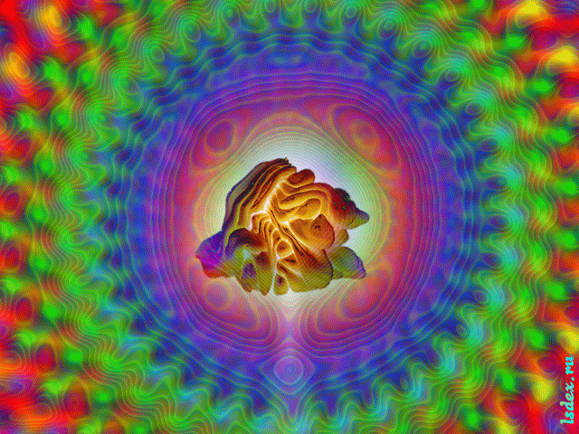 Psychedelic GIF - Find & Share on GIPHY