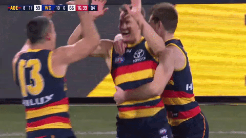 Round 15 Celebration GIF by Adelaide Crows - Find & Share on GIPHY