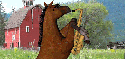 Saxophone Horse GIFs - Find & Share on GIPHY
