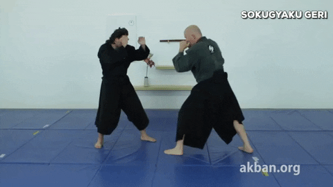 Push Kick GIFs - Get the best GIF on GIPHY