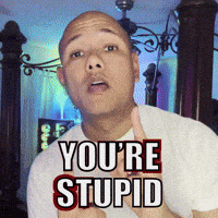 Youre Stupid Gif
