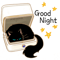 Good Night Cat Gif