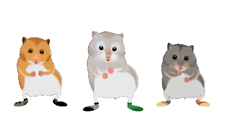 Hamster Dance Gif