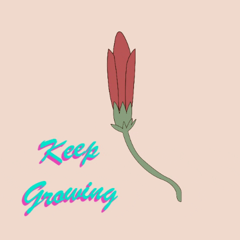 Flower Growing Gif