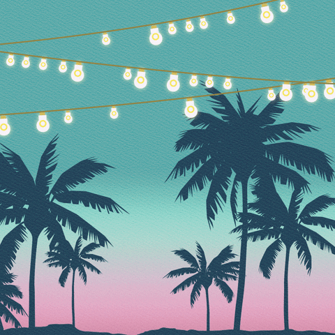 Sunrise To Sunset GIFs - Find & Share on GIPHY