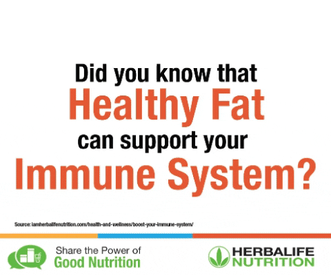 Healthy-fats GIFs - Get the best GIF on GIPHY