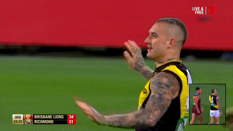 Afl Finals Celebrations GIF by AFL - Find & Share on GIPHY