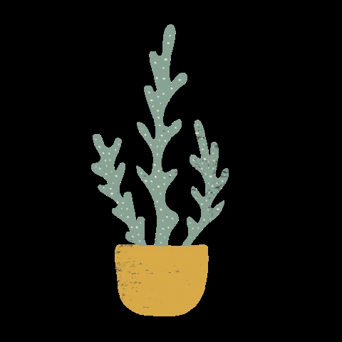 Succulent Bar GIFs on GIPHY - Be Animated