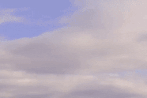 Washington-city-paper GIFs - Get the best GIF on GIPHY